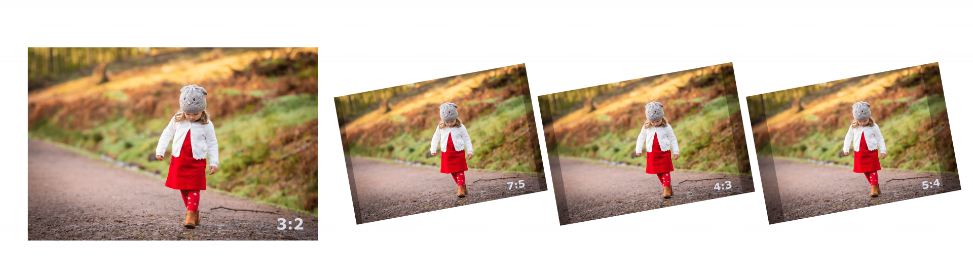 Why are my images getting cropped? Photo print sizes and and ratios ...